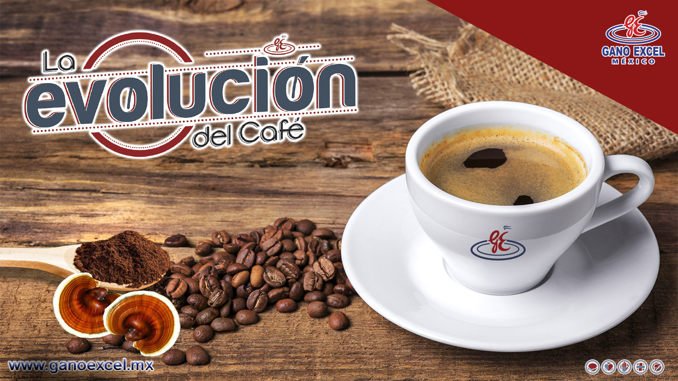 Gano Excel México